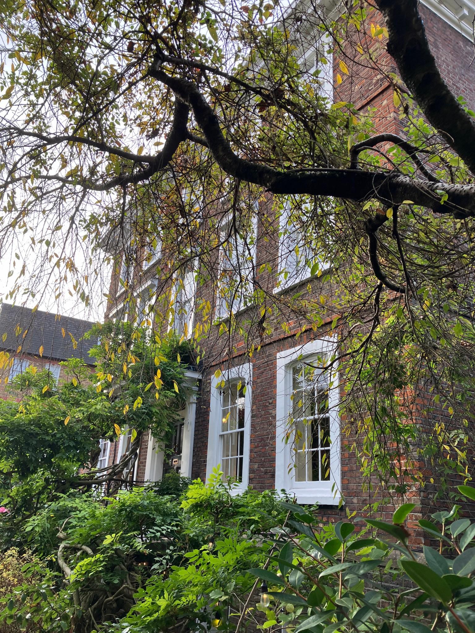 A Hampstead Surprise: Burgh House and its Artistic Treasures – THE ART ...